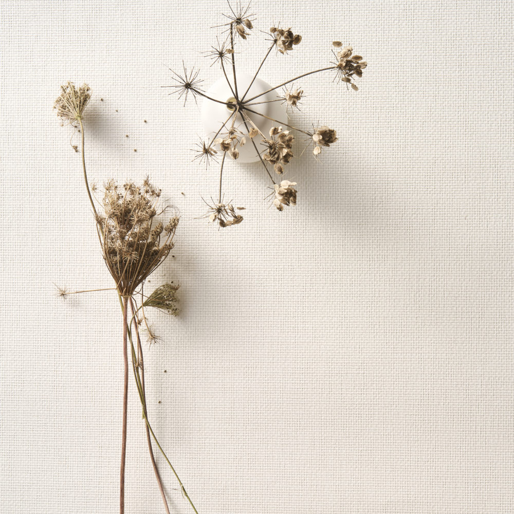 Omexco Pure Purity Wallcoverings