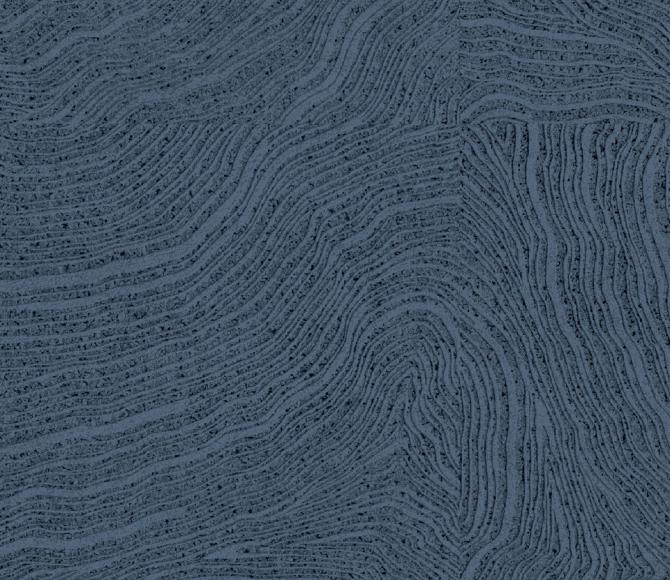 Tektura Topography Wallcovering ﻿TOP 07
