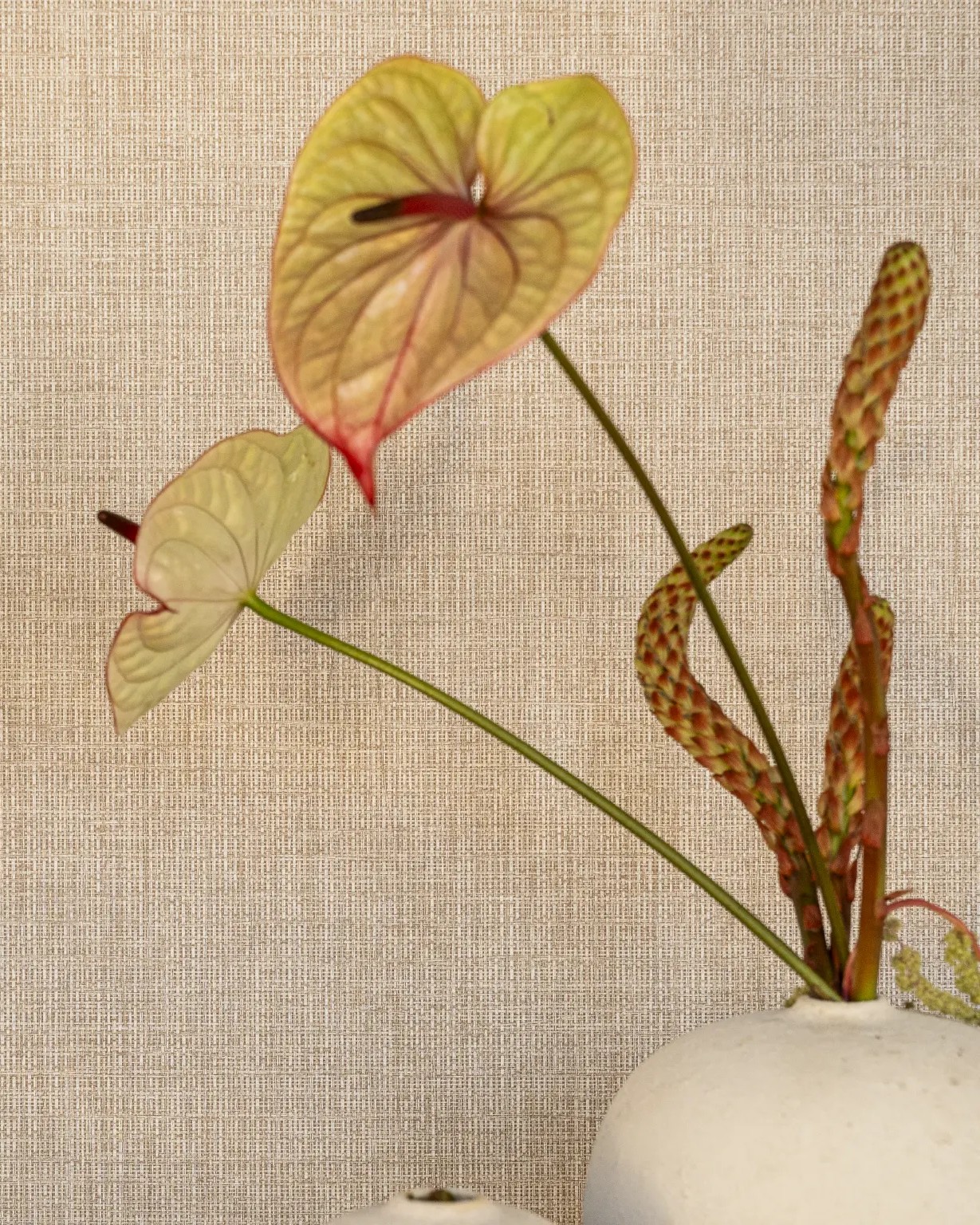 Vescom Flax Wallcoverings